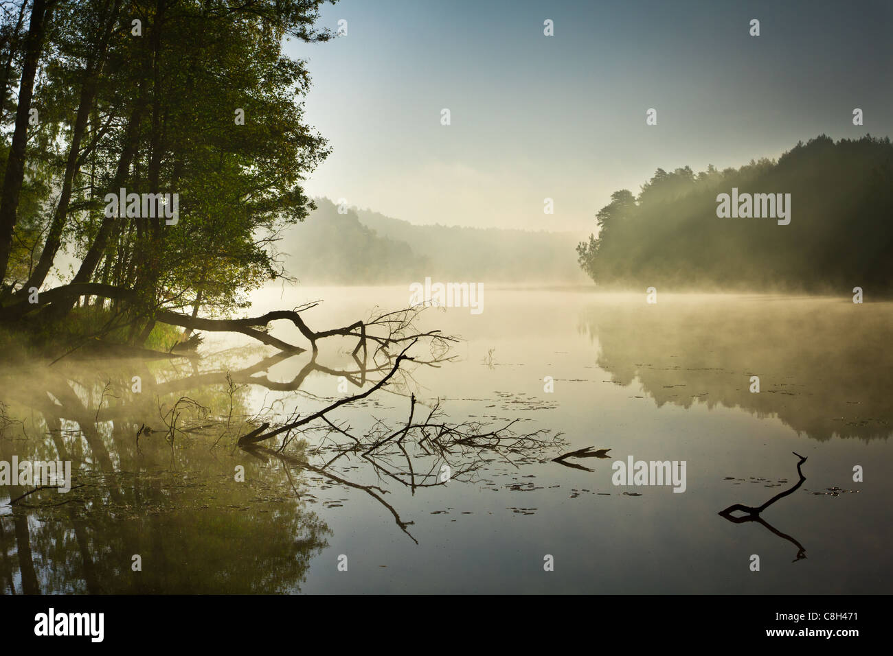 Fog over lake sun hi-res stock photography and images - Alamy