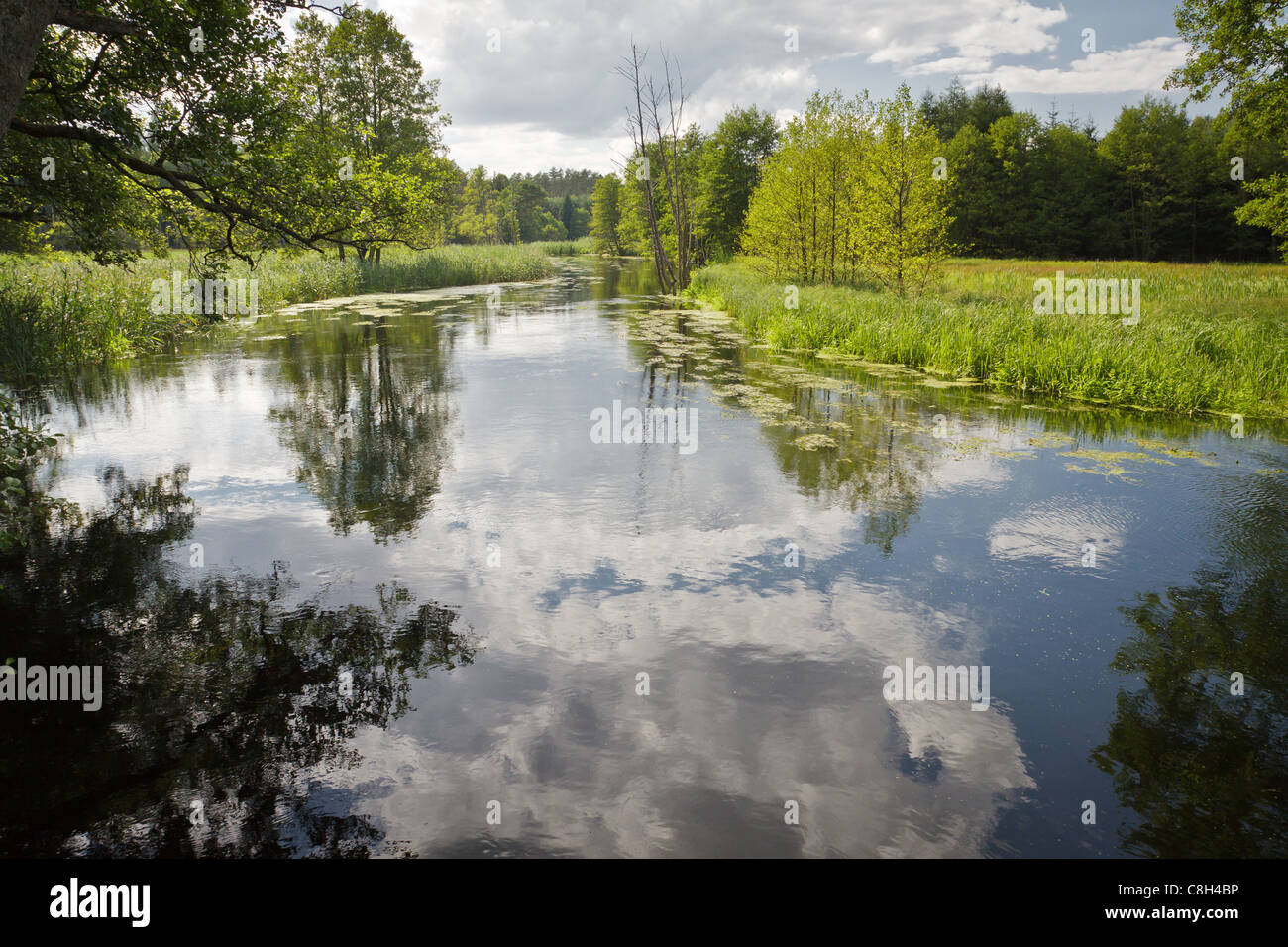Summer view at the river Stock Photo - Alamy