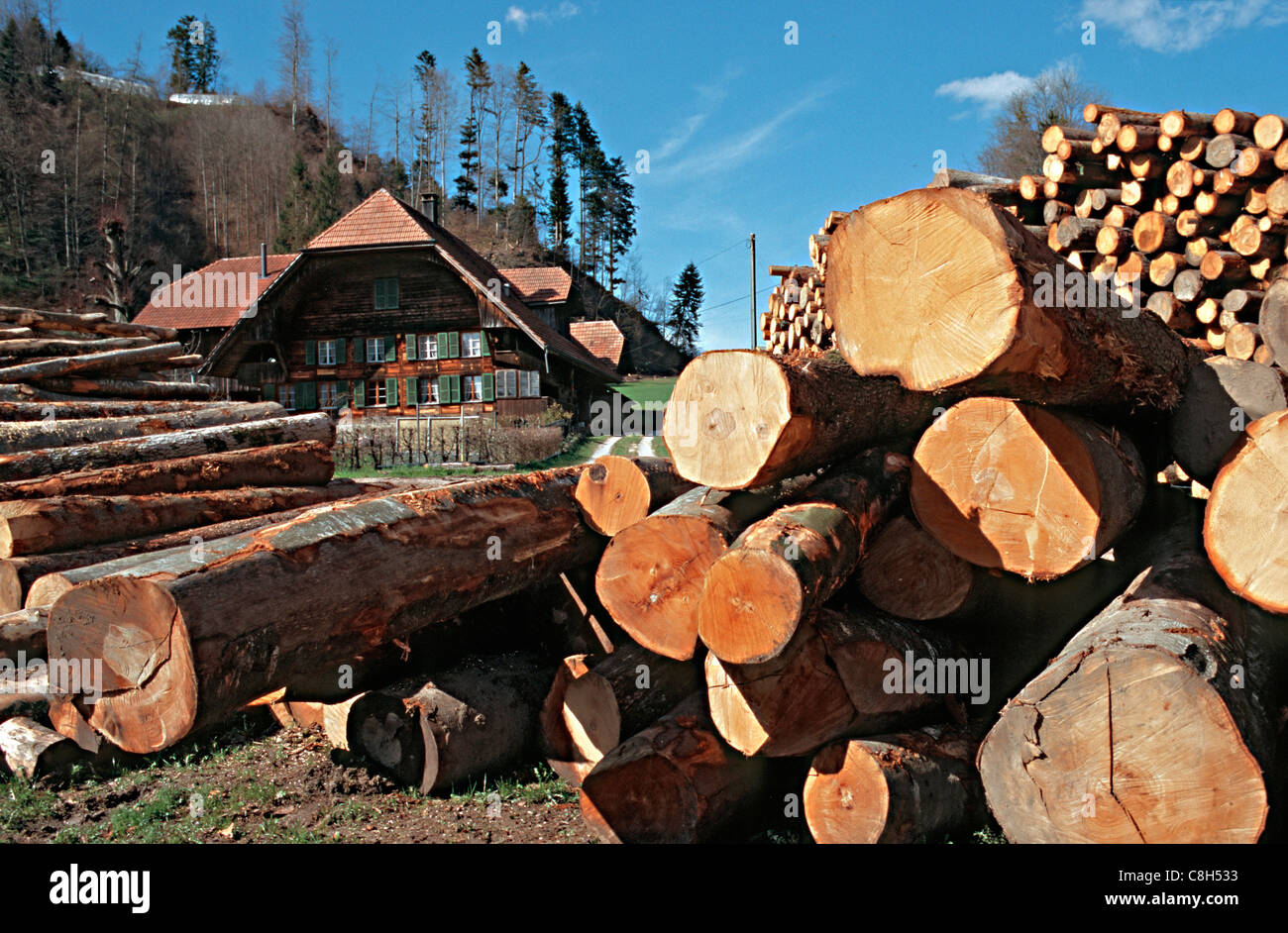 Wood spar hi-res stock photography and images - Alamy