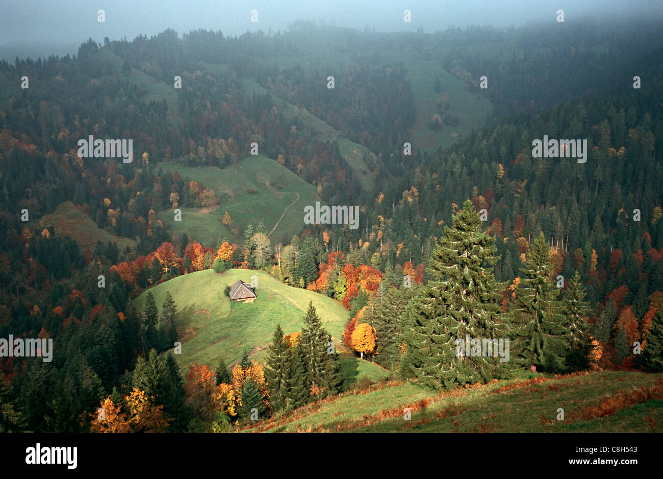 Lüderenalp, Harzer, Switzerland, canton Bern, Emmental, Napf, Pre Alps ...