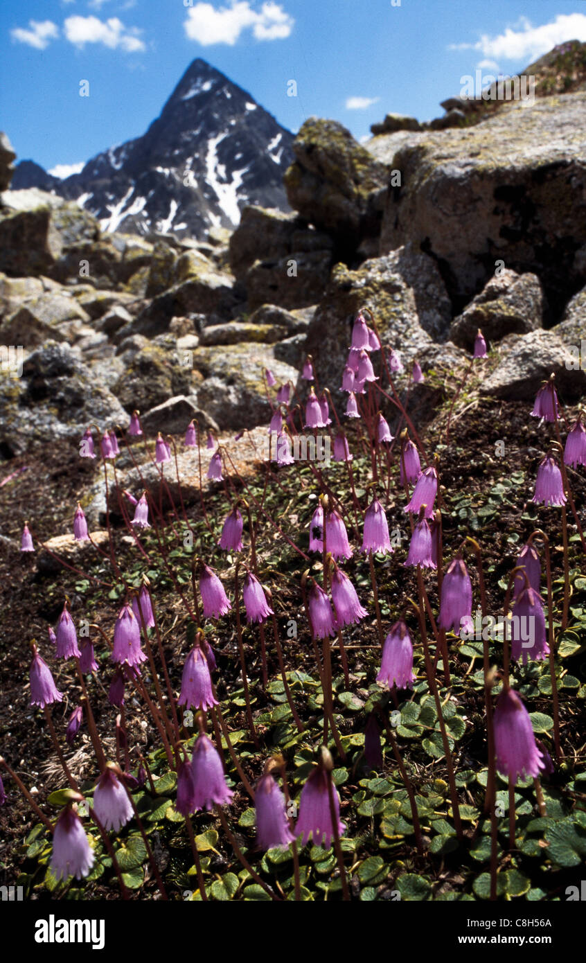 Fuorcla Crap Alv, Val Bever, Switzerland, canton Graubünden, Engadin ...