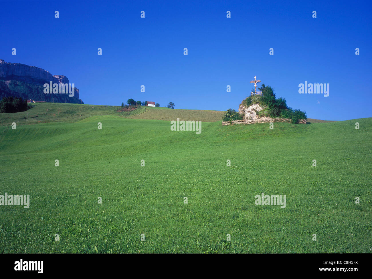 Switzerland, Europe, Appenzell, meadow, mountains, scenery, field ...