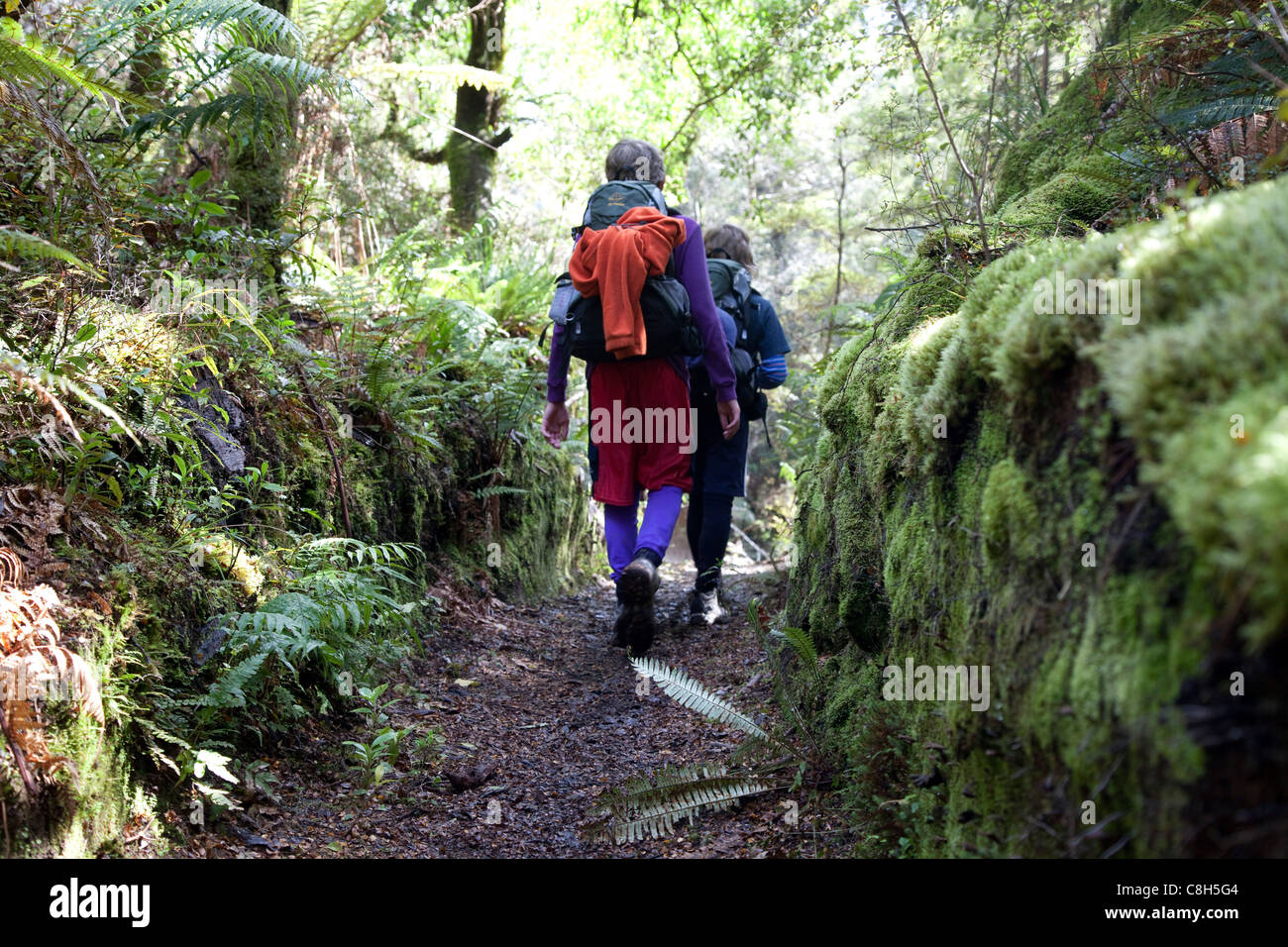 Tramping in New Zealand Stock Photo - Alamy