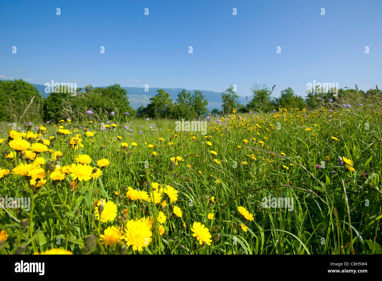 Canton panorama hi-res stock photography and images - Alamy