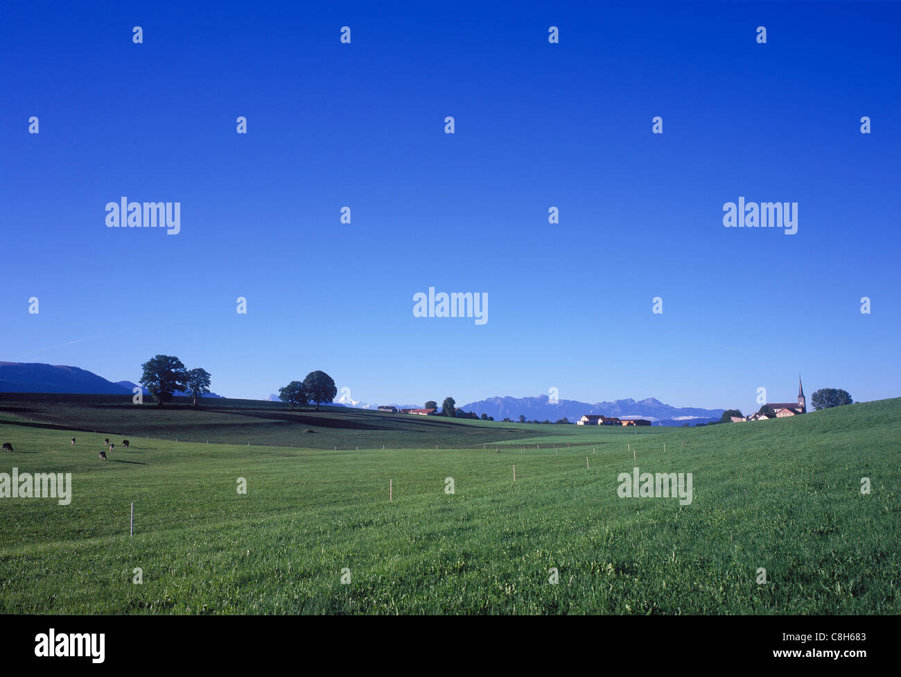 Switzerland, Europe, Fribourg, Freiburg, mountain, mountains ...