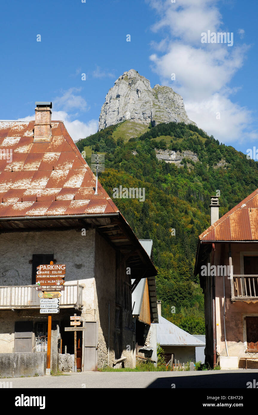 Jarsy hi-res stock photography and images - Alamy