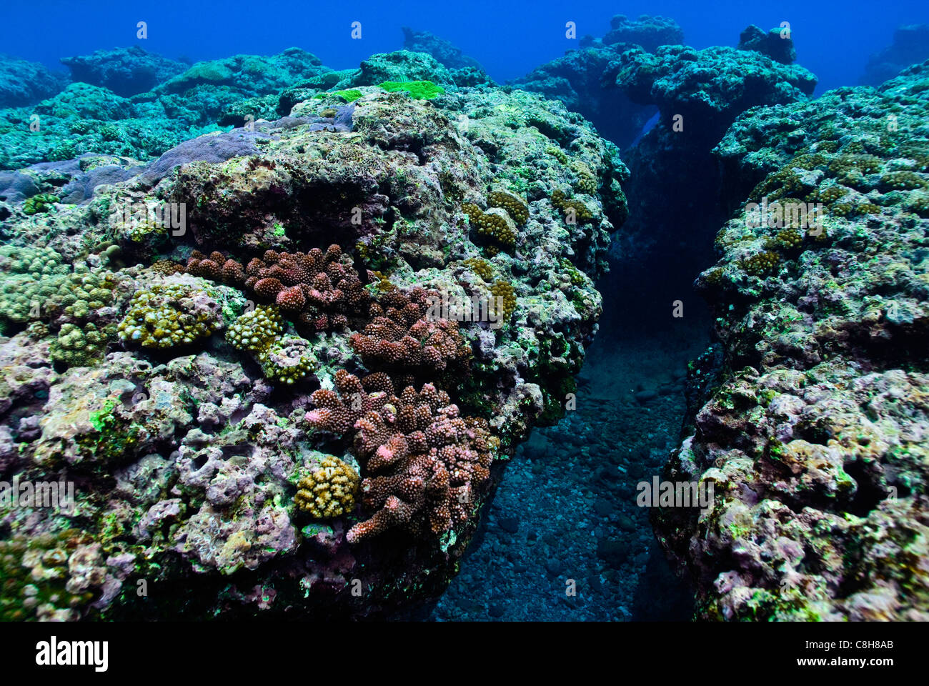 Warm, shallow seas over a canyon in the surface of a coral reef Stock ...