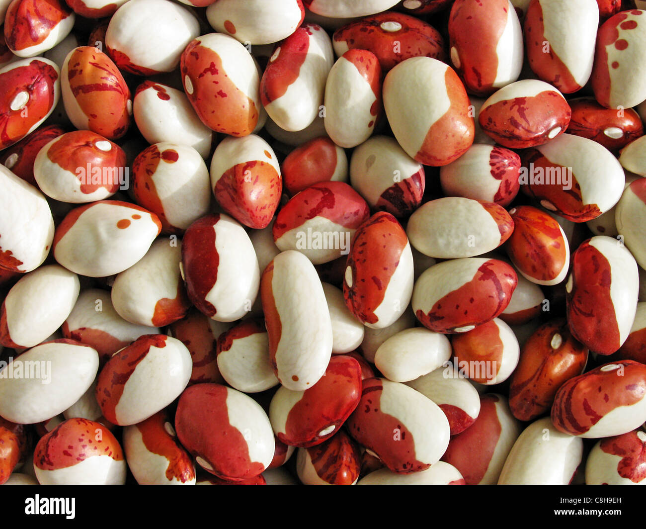 A lot of beans Stock Photo - Alamy