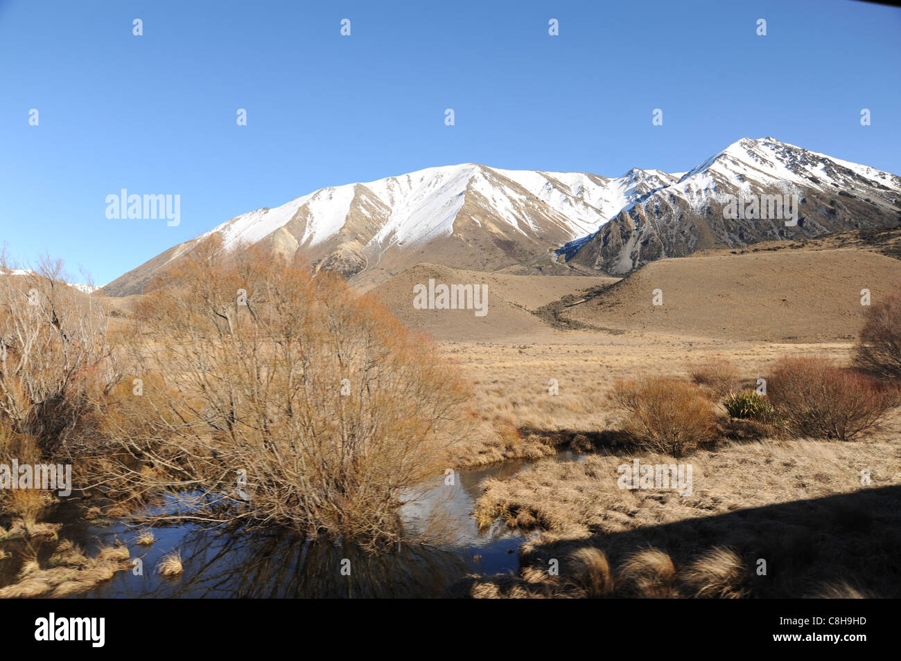 Native grasslands shrubs hi-res stock photography and images - Alamy