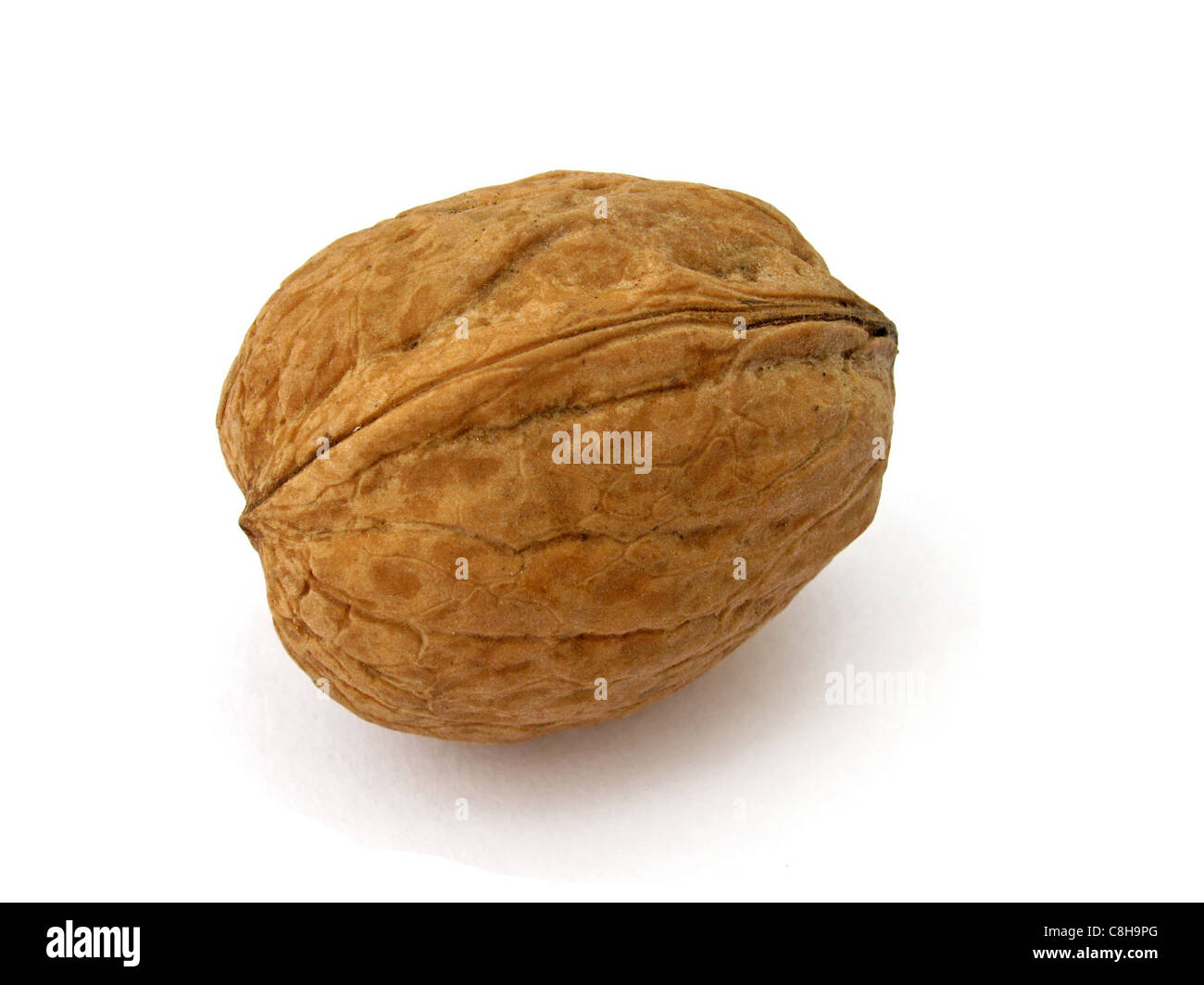 Walnut Cut Out Stock Images & Pictures - Alamy