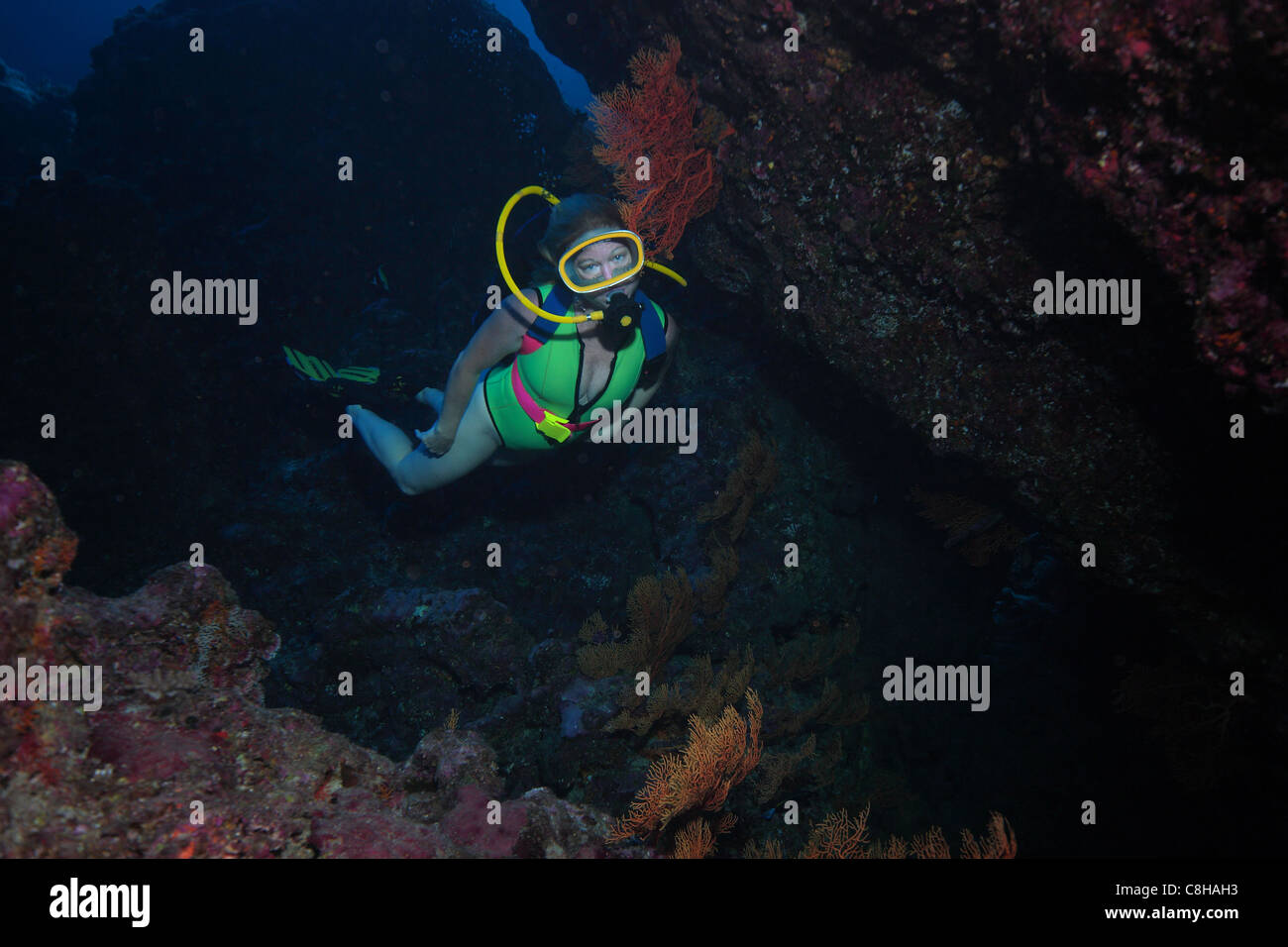 SCUBA DIVING IN A FAN-FILLED UNDERWATER CAVE Stock Photo - Alamy