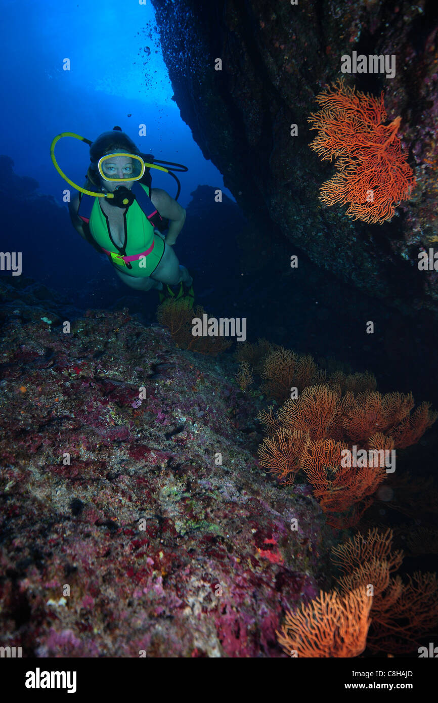 Female deep sea diver hi-res stock photography and images - Alamy