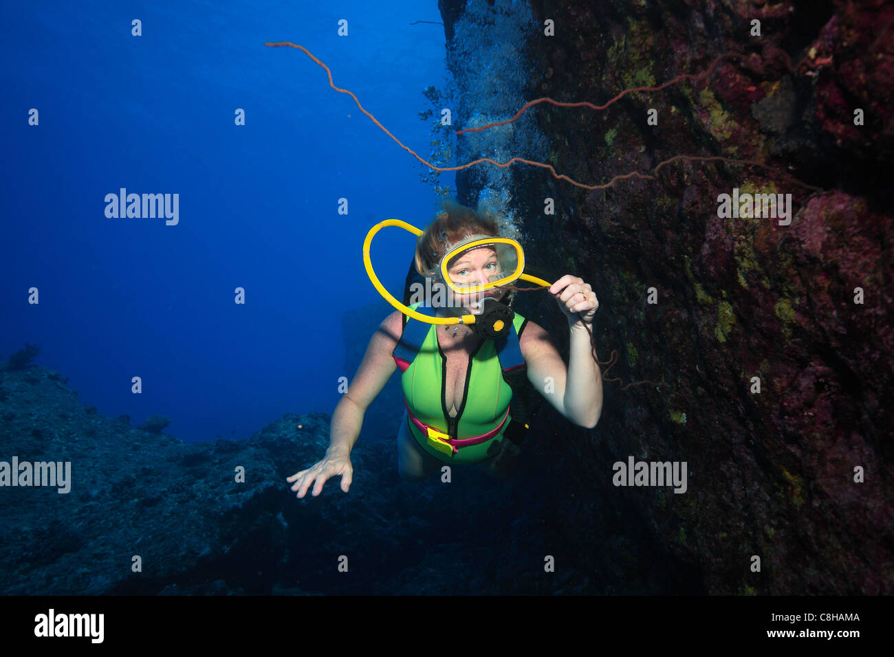 SEXY SCUBA DIVER Stock Photo - Alamy