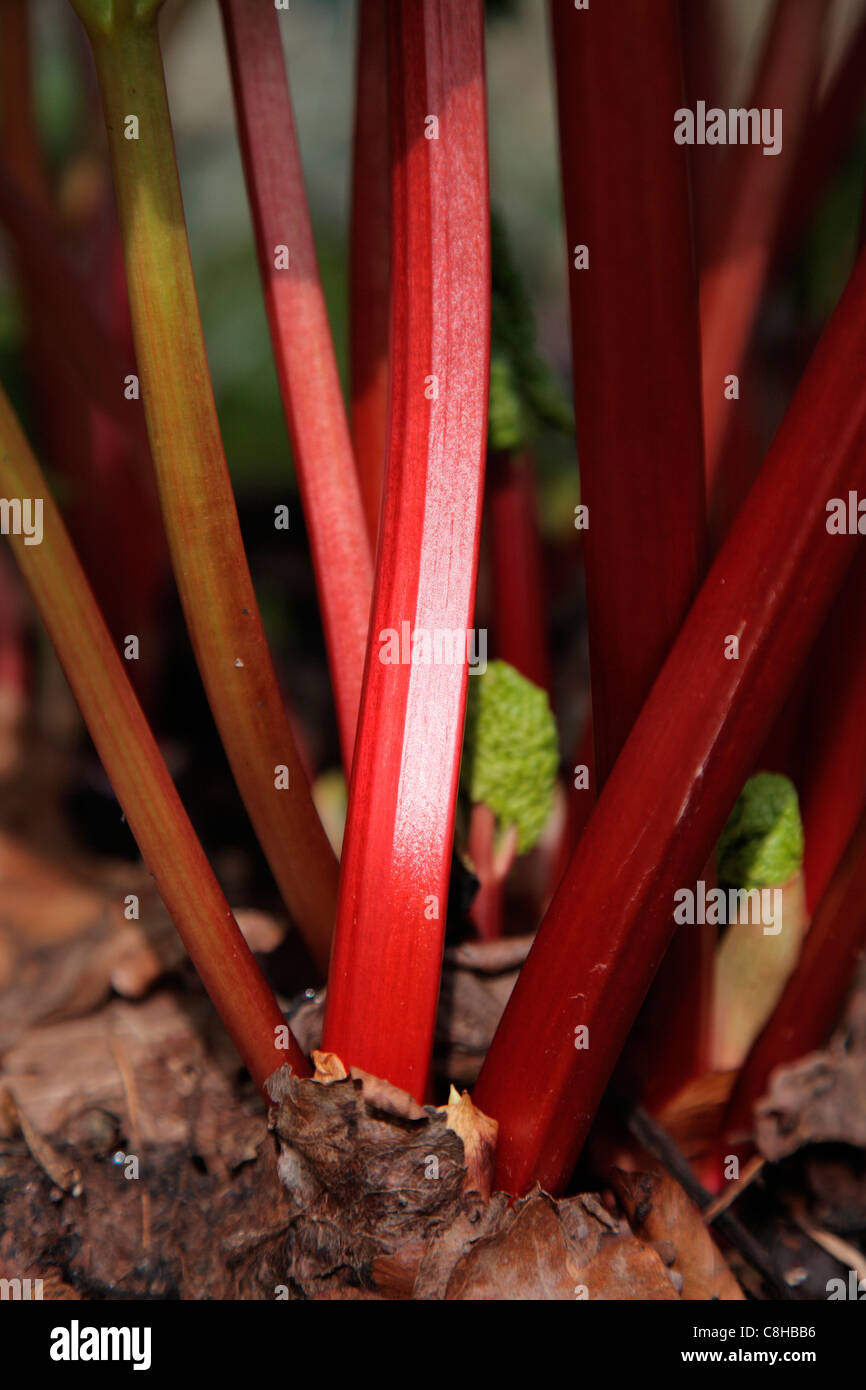 Timperley hi-res stock photography and images - Alamy