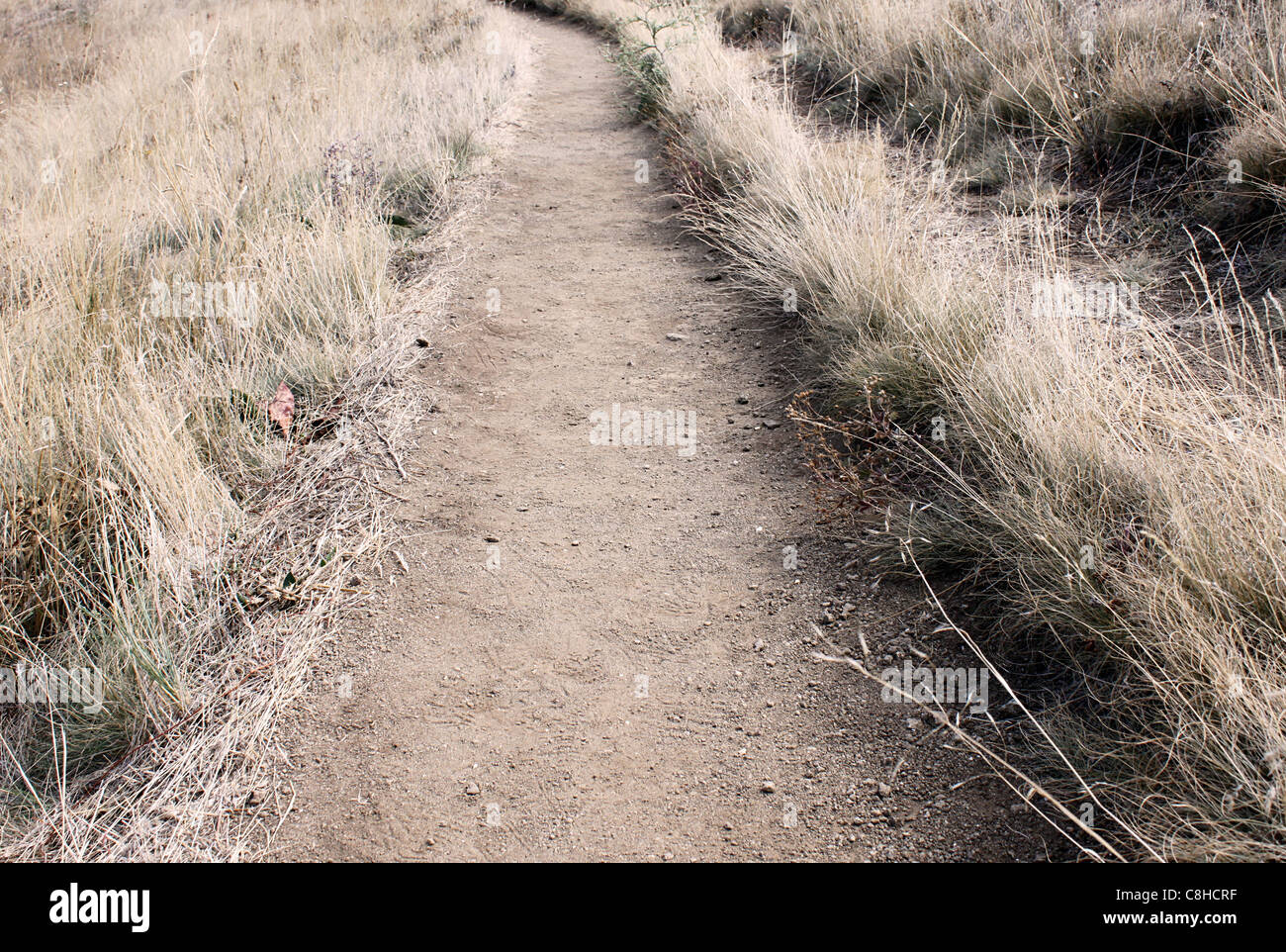 path in a field Stock Photo - Alamy