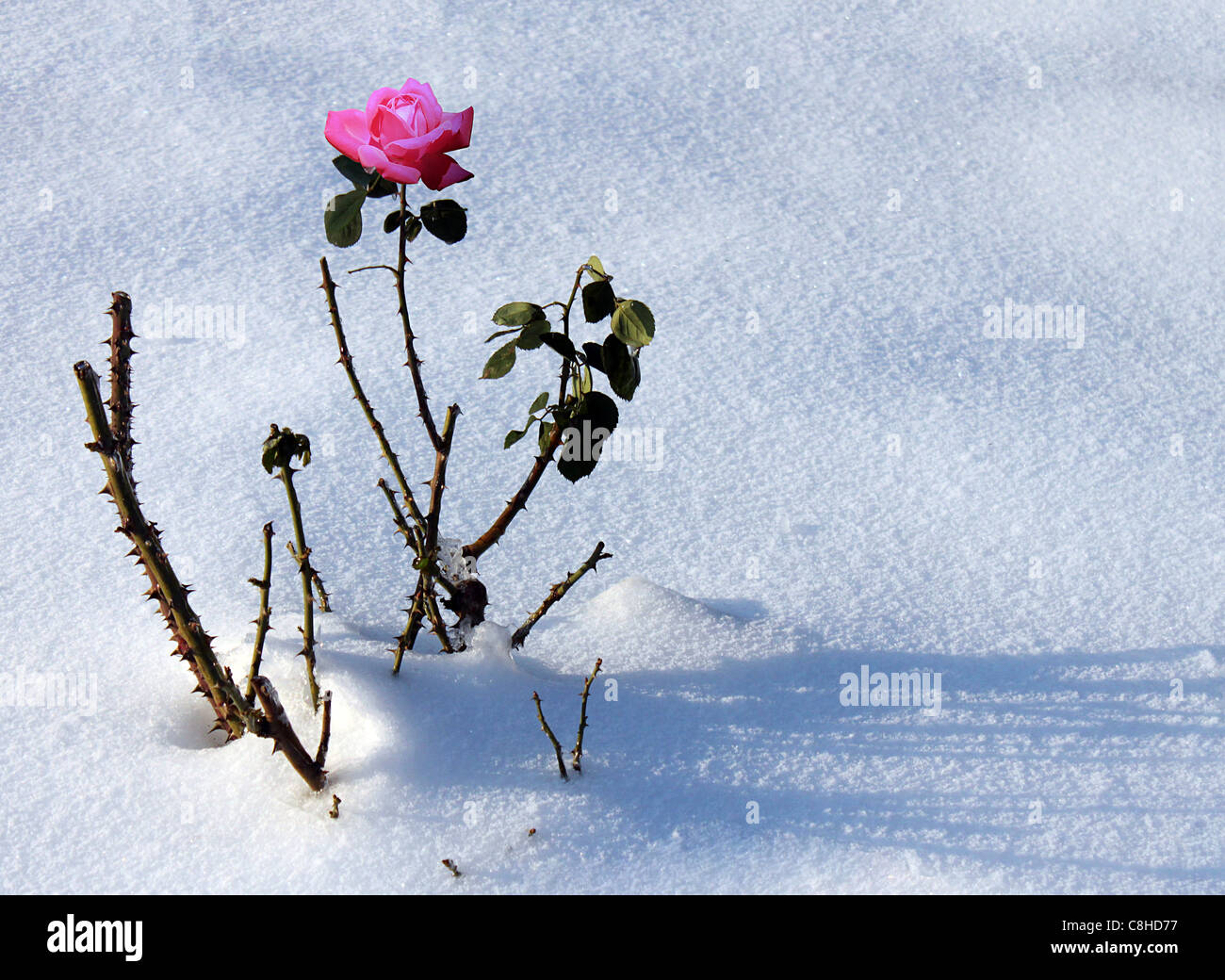 Snow symbol weather hi-res stock photography and images - Alamy