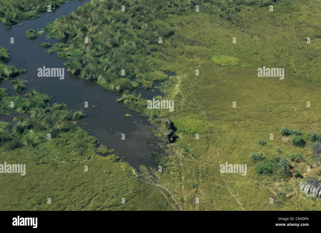 aerial view, Okawonga, delta, river, Botswana, Africa Stock Photo - Alamy