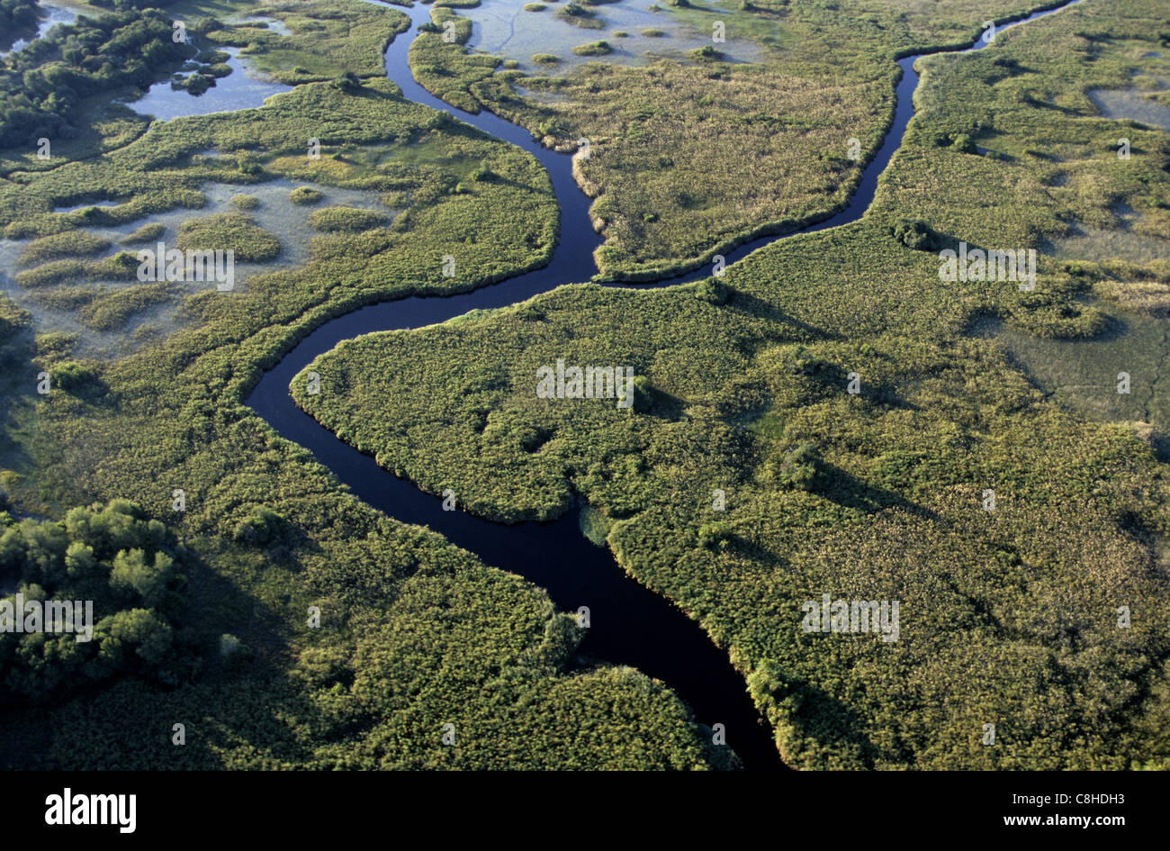 aerial view, Okawonga, delta, river, Botswana, Africa Stock Photo - Alamy
