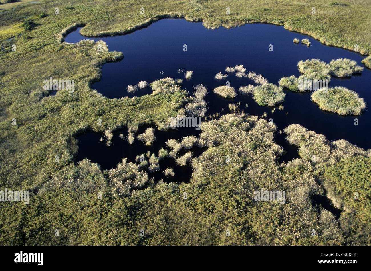 aerial view, Okawonga, delta, river, Botswana, Africa Stock Photo - Alamy