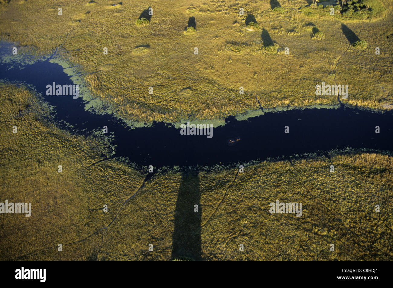 aerial view, Okawonga, delta, river, Botswana, Africa Stock Photo - Alamy