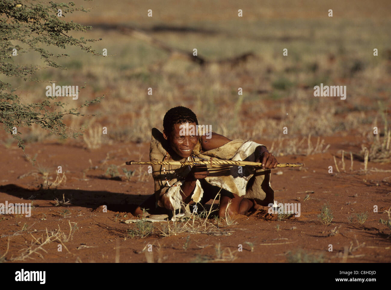 Bushmen, population, SAN, boscimani, Kalahari, Desert, Namibia, Africa ...
