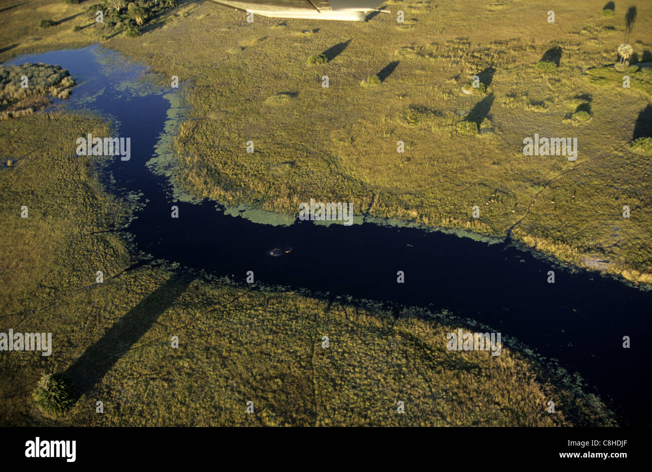 aerial view, Okawonga, delta, river, Botswana, Africa Stock Photo - Alamy