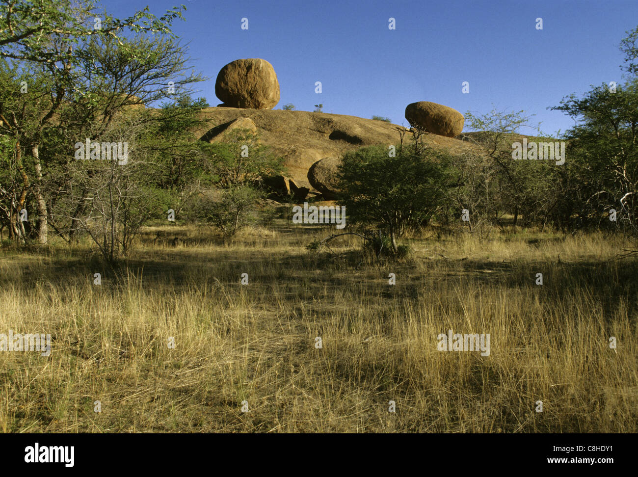 bulls party, Party, rock, stones, Erongo, Mountains, Usakos, Damaraland ...
