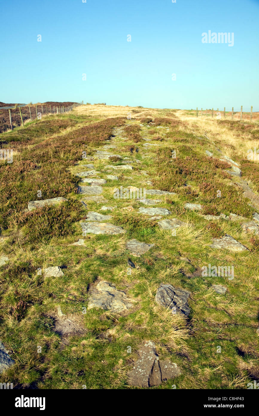 Roman road locally called wades causeway crossing wheeldale moor hi-res ...