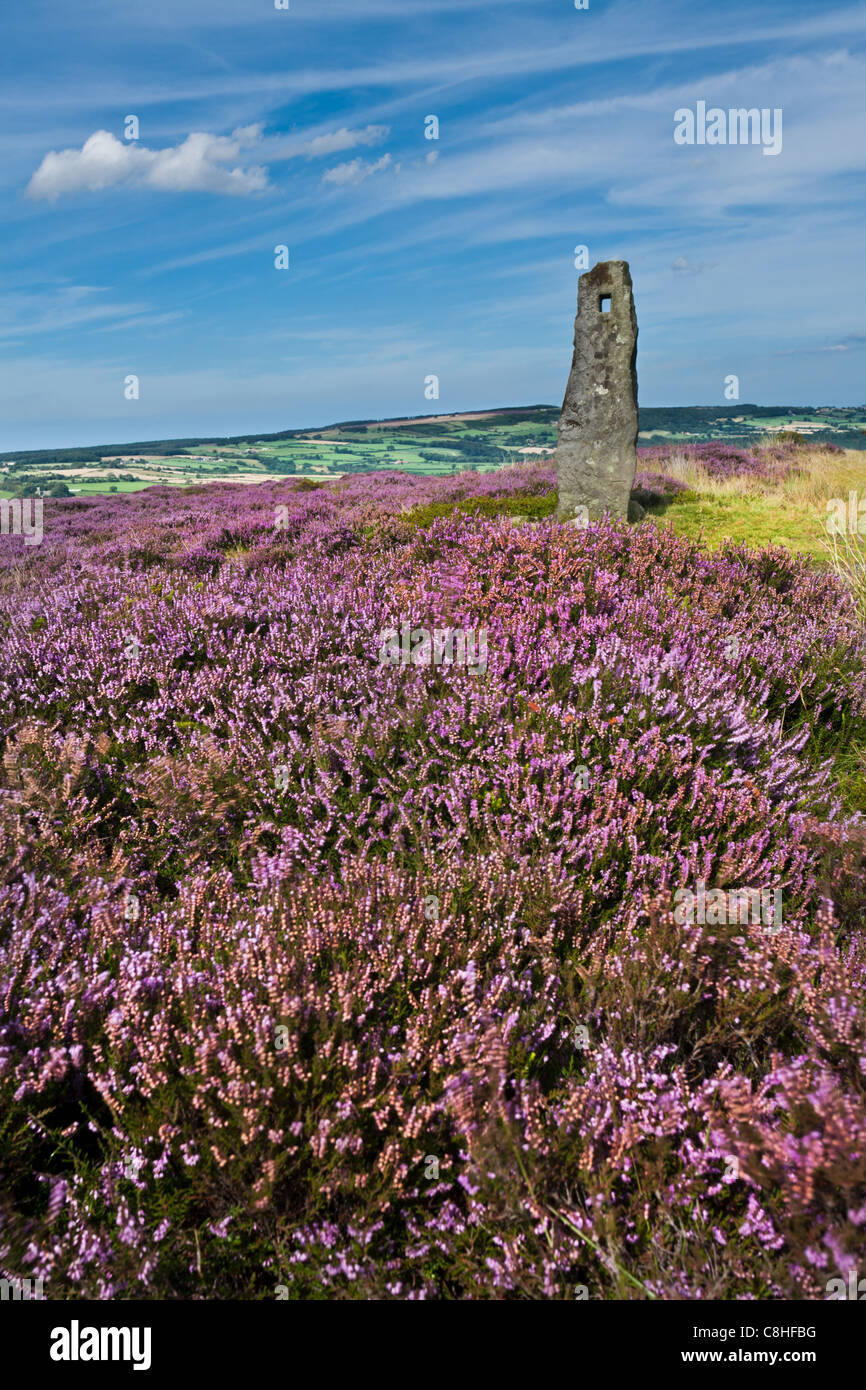 Egton hi-res stock photography and images - Alamy