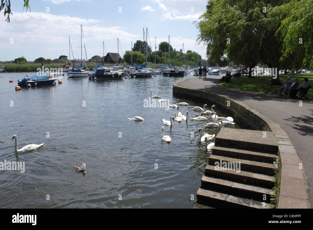 Footpath Christchurch Quay Dorset Stock Photo - Alamy
