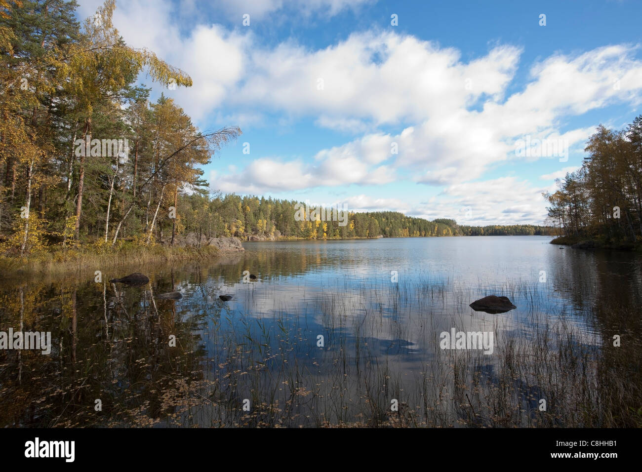 Repovesi national park Finland Europe Stock Photo - Alamy