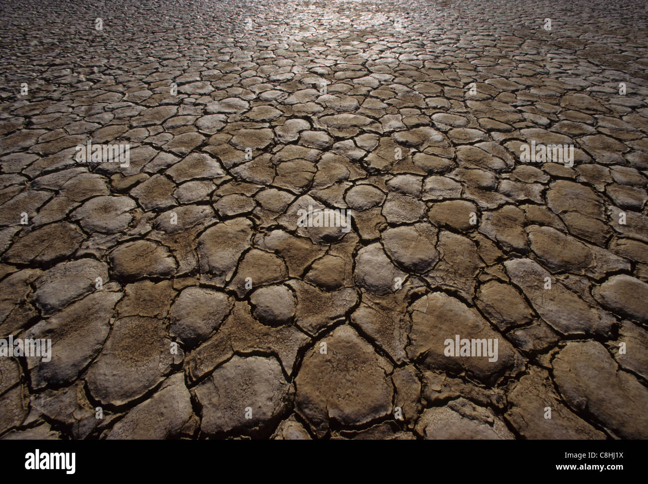 Crack Patches, dry, Death Valley, landscape, National Monument ...