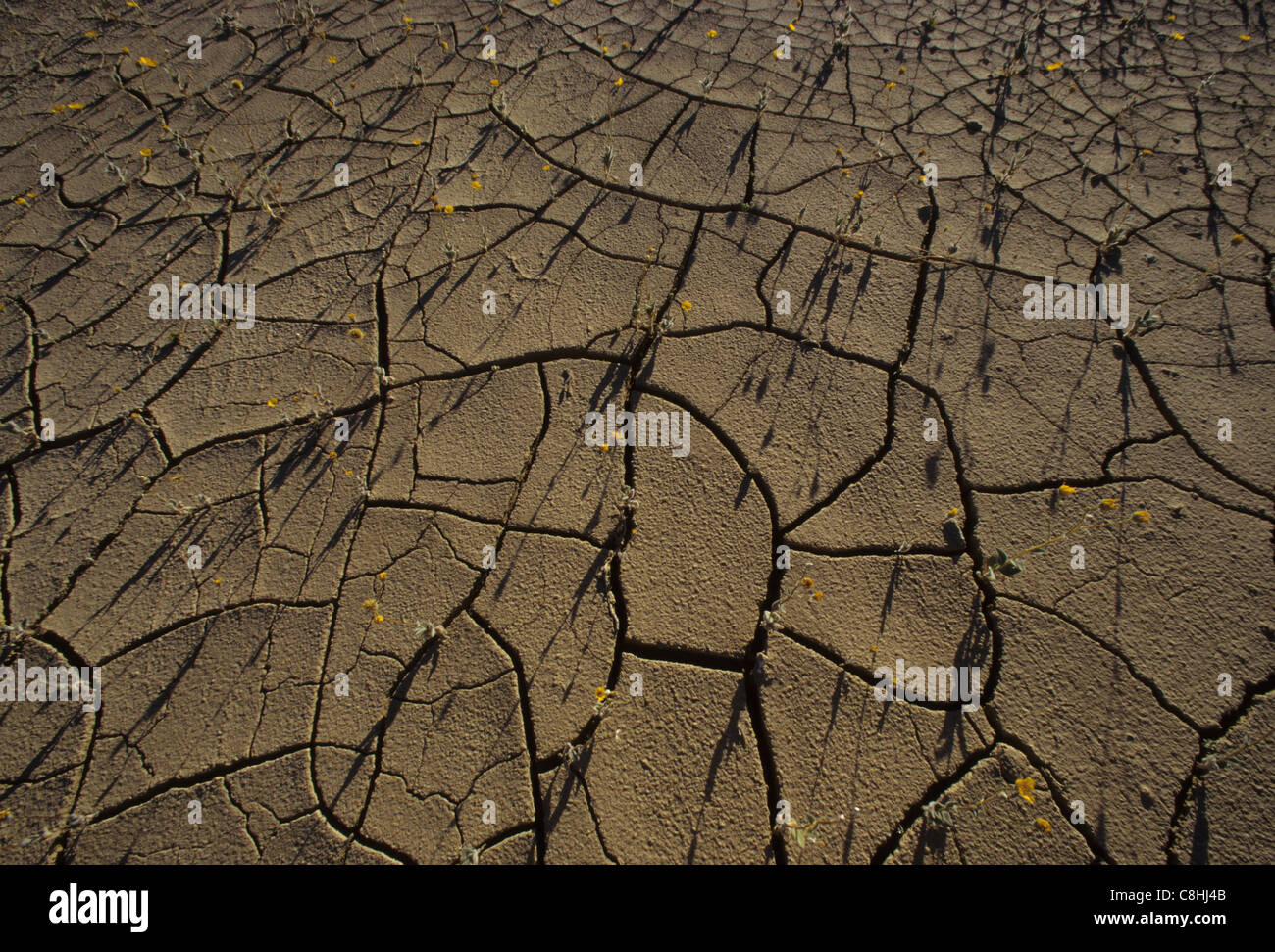 Crack Patches, dry, Death Valley, landscape, National Monument ...