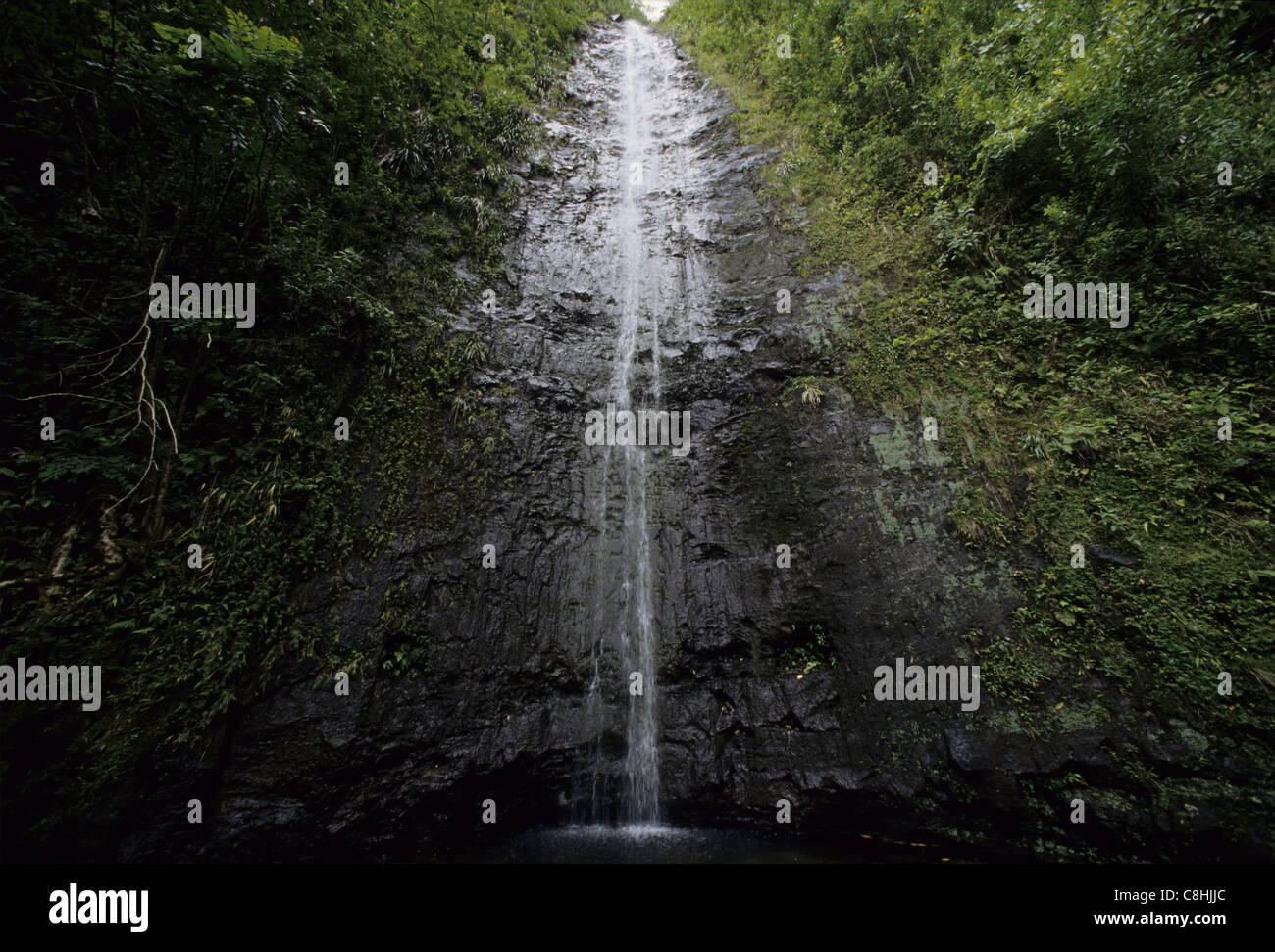 manoa fall, Manoa Valley, Oahu, island, Hawaii, USA, United States ...