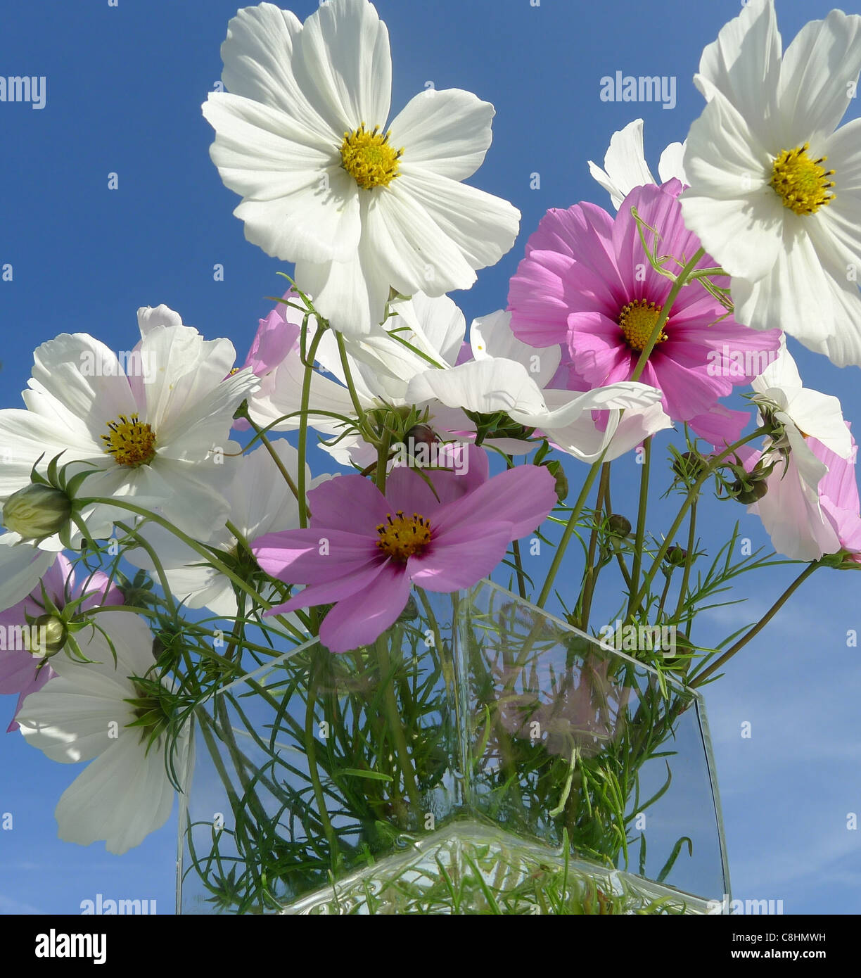 Summer Vase of Flowers Stock Photo - Alamy