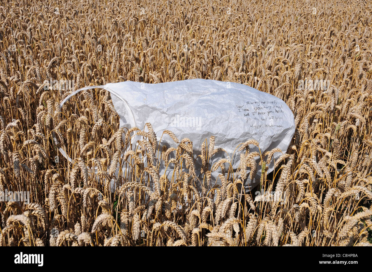 Fallen wheat crop hi-res stock photography and images - Alamy