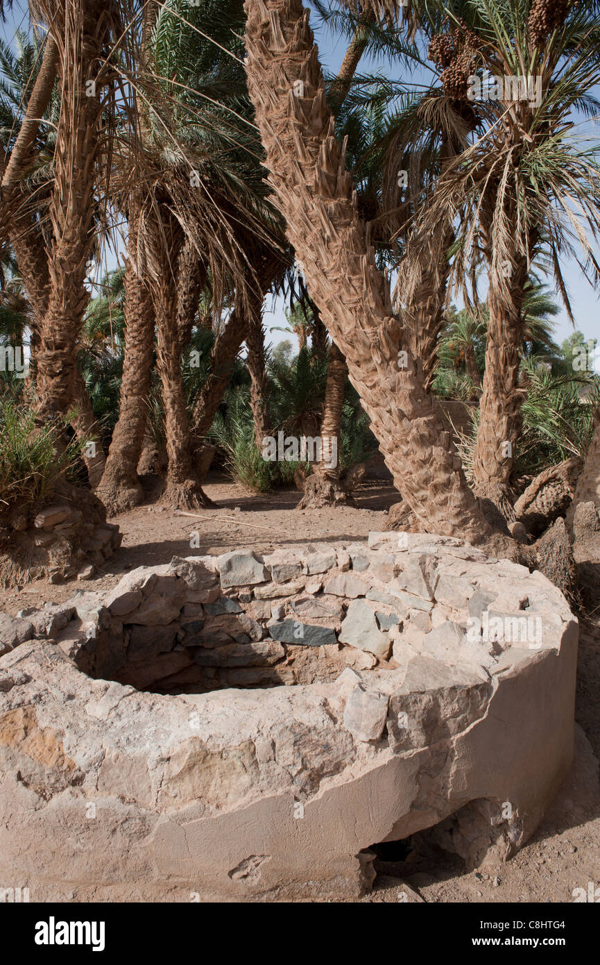 Sahara Morocco Well Stock Photos & Sahara Morocco Well Stock Images - Alamy