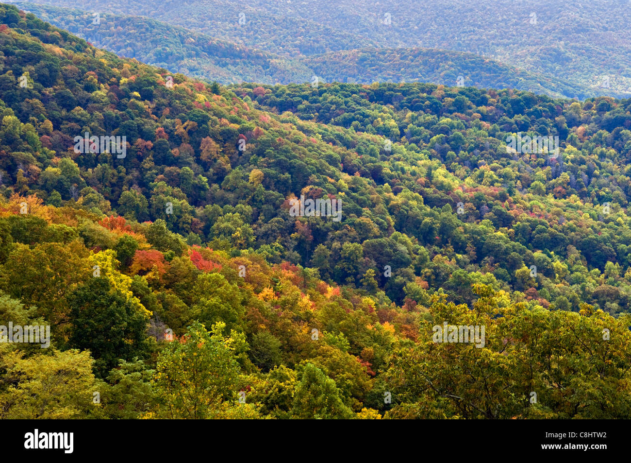 Autumn Color from the Cherohala Skyway in the Cherokee National Forest ...