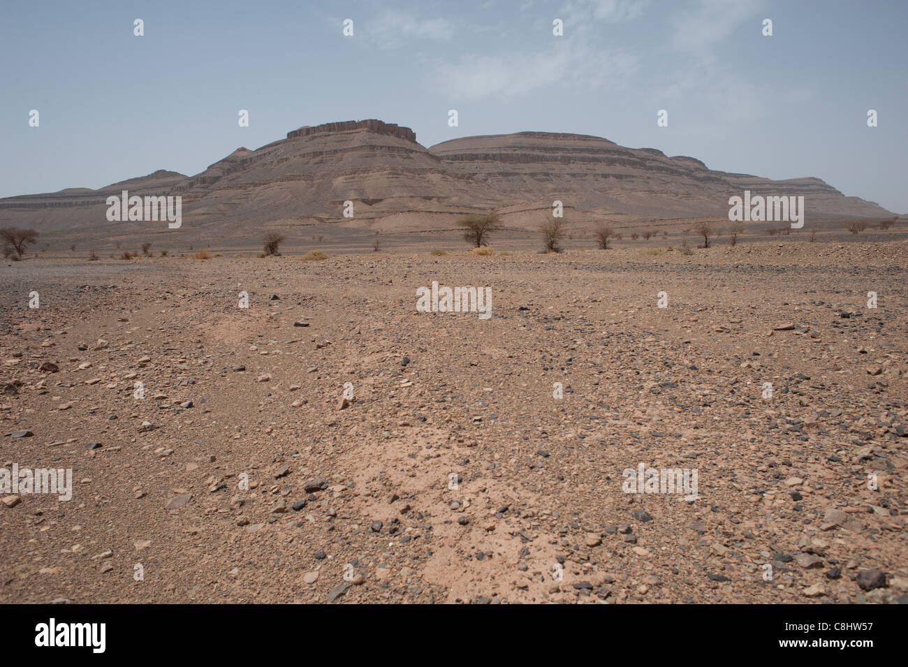 Sahara desert showing stony desert landscape, Morocco Stock Photo - Alamy