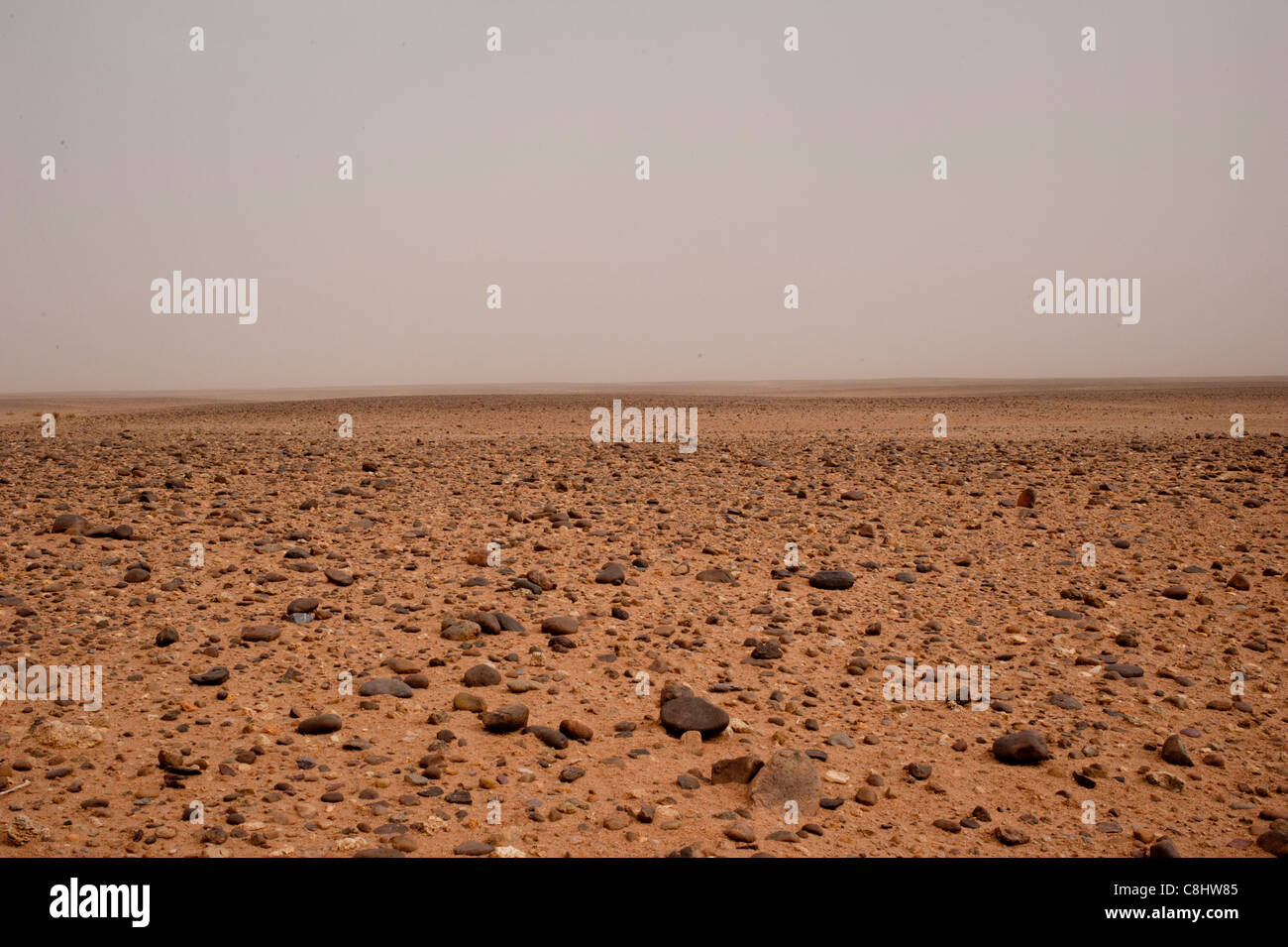 Sahara desert showing stony desert landscape, Morocco Stock Photo - Alamy