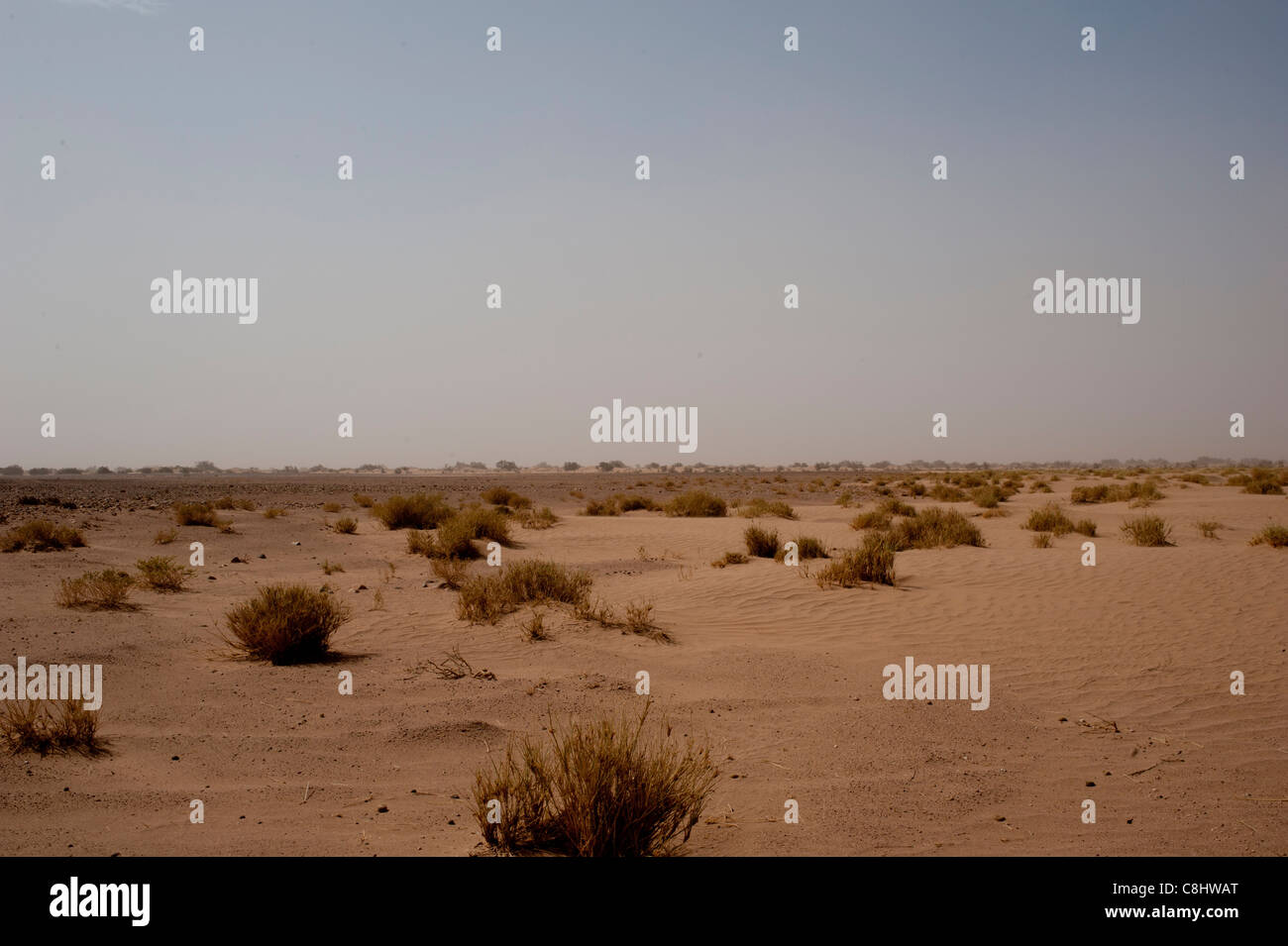 Sahara desert showing stony desert landscape, Morocco Stock Photo - Alamy