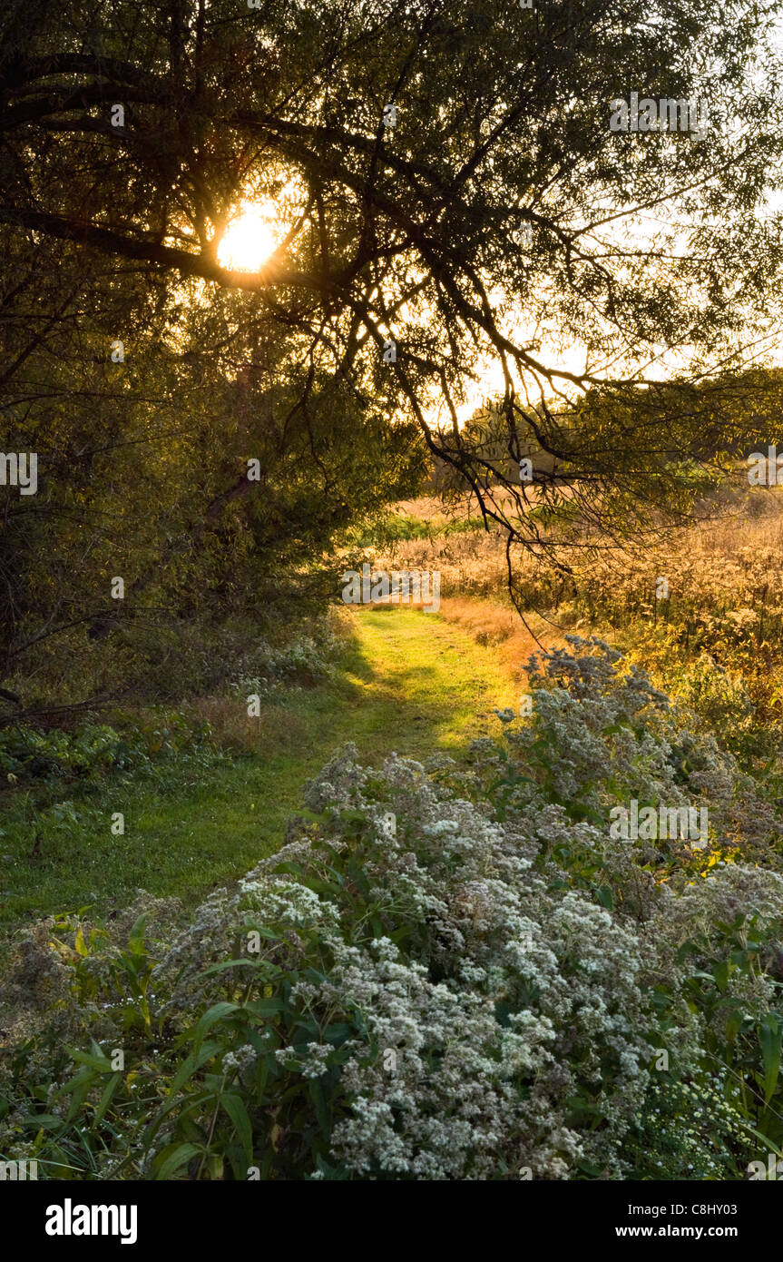 Wildflower path hi-res stock photography and images - Alamy