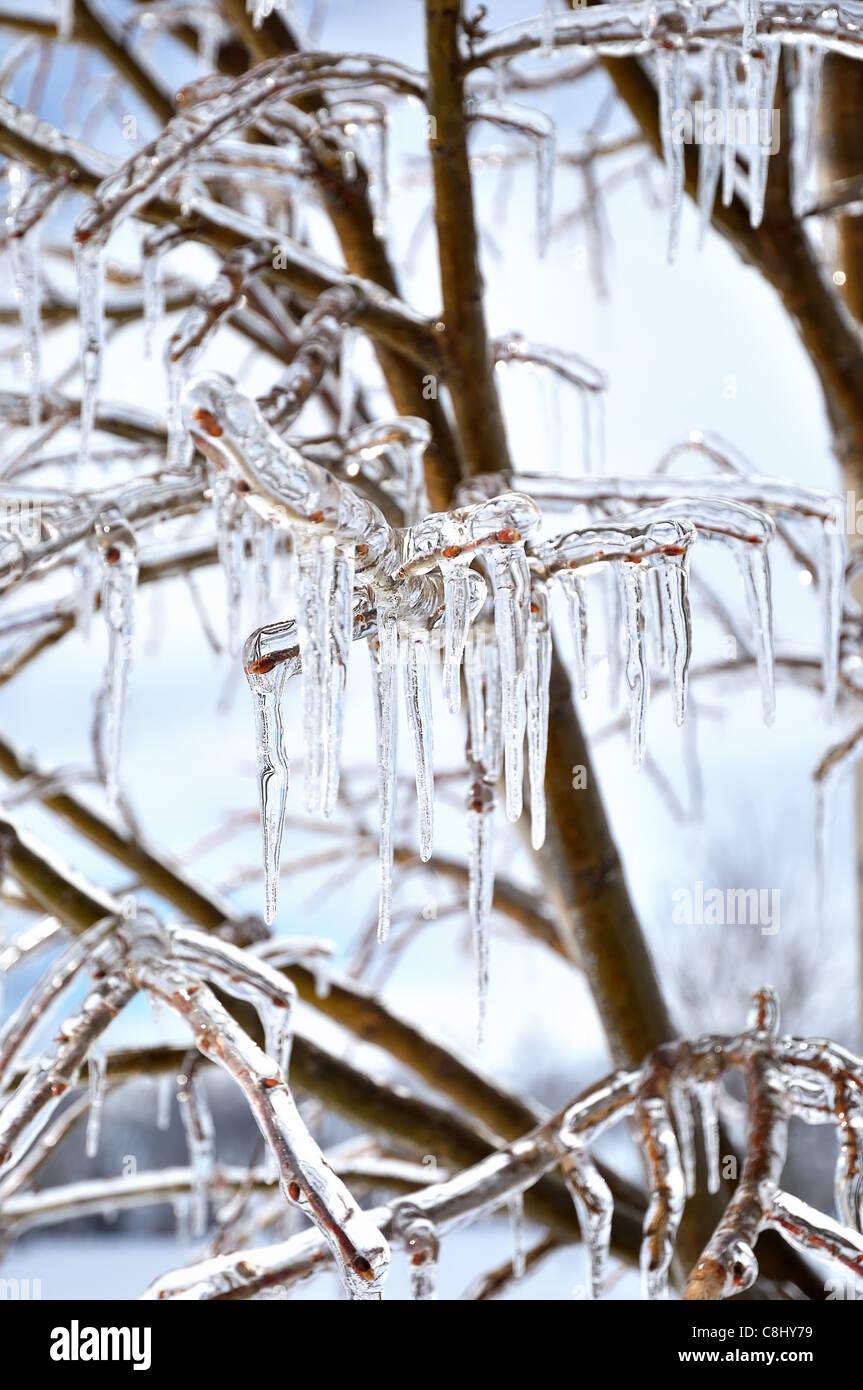 Icecicle hi-res stock photography and images - Alamy