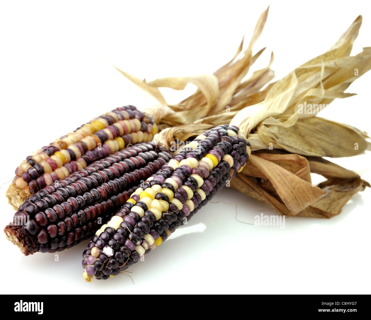 Colorful Dry Corn Cobs On White Background Stock Photo - Alamy