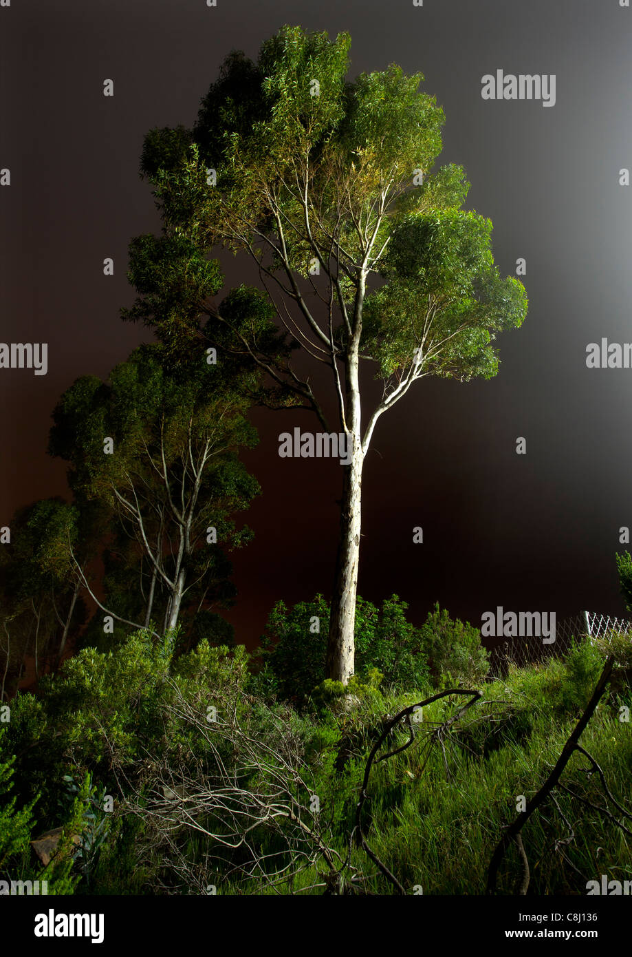 Ambient light hi-res stock photography and images - Alamy