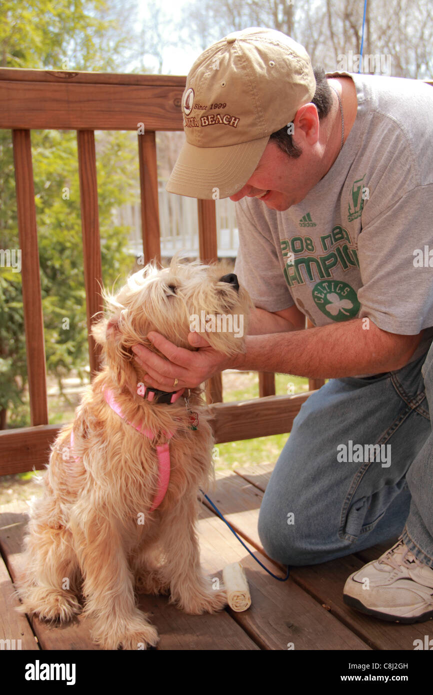 Wheaton terrier hi-res stock photography and images - Alamy