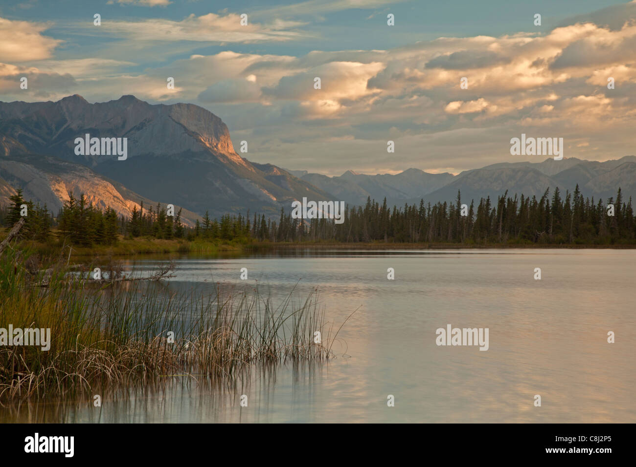 Miette range talbot lake jasper national park hi-res stock photography ...