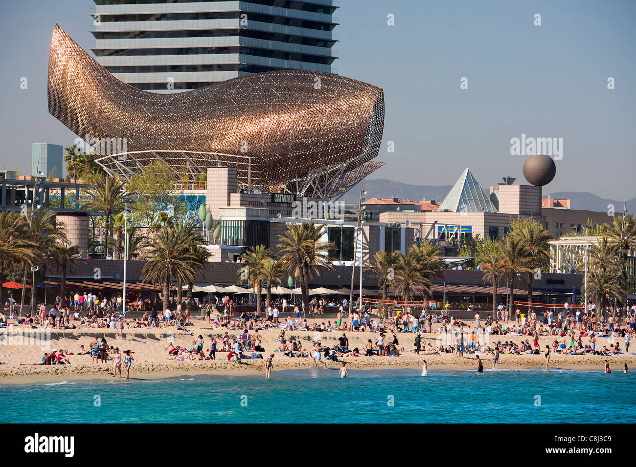Spain, Europe, Catalunya, Barcelona, Barceloneta, beach, fish, walk ...