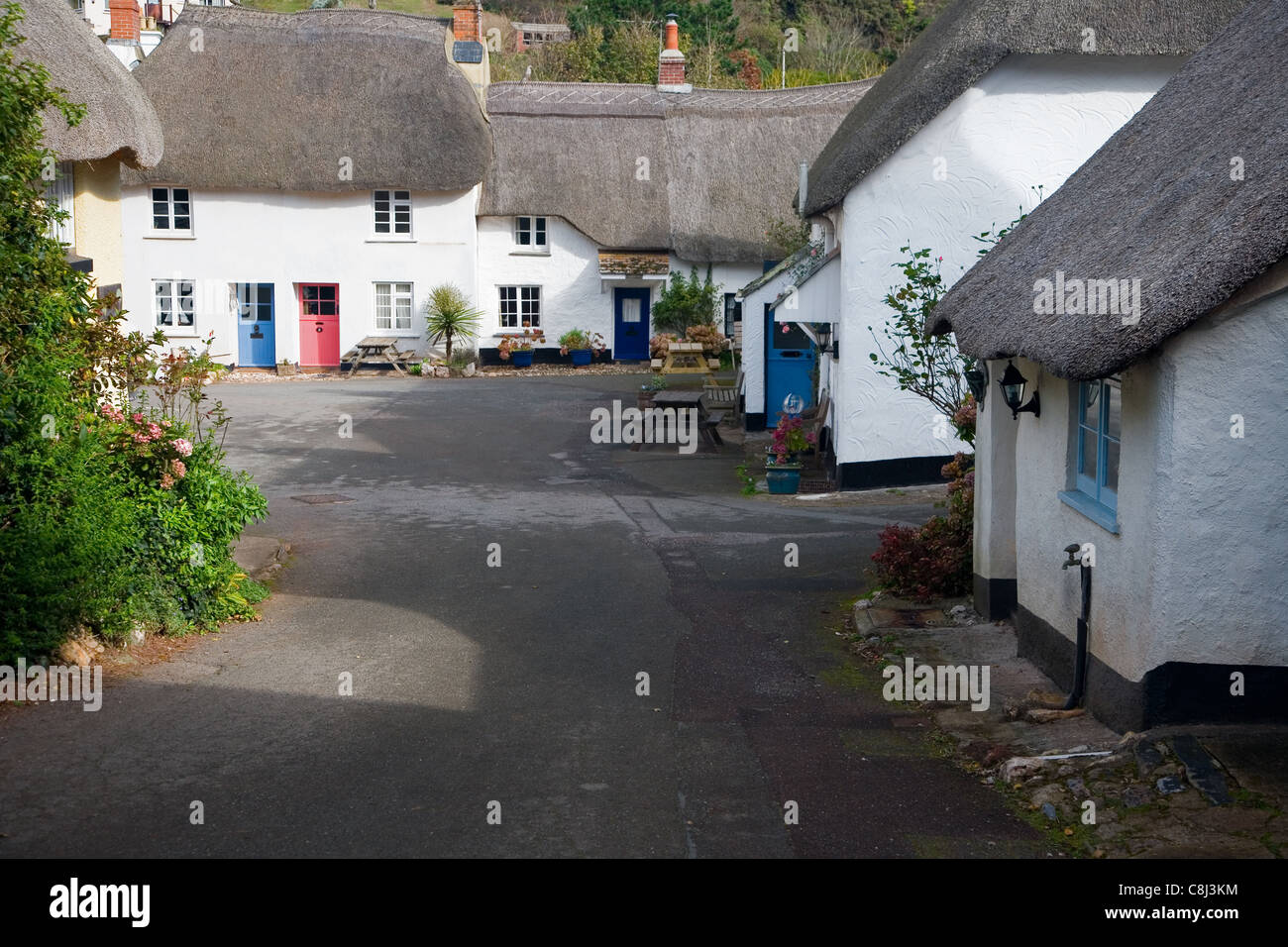 Thatched cottages at Hope Cove (Inner Hope) South Devon Stock Photo - Alamy