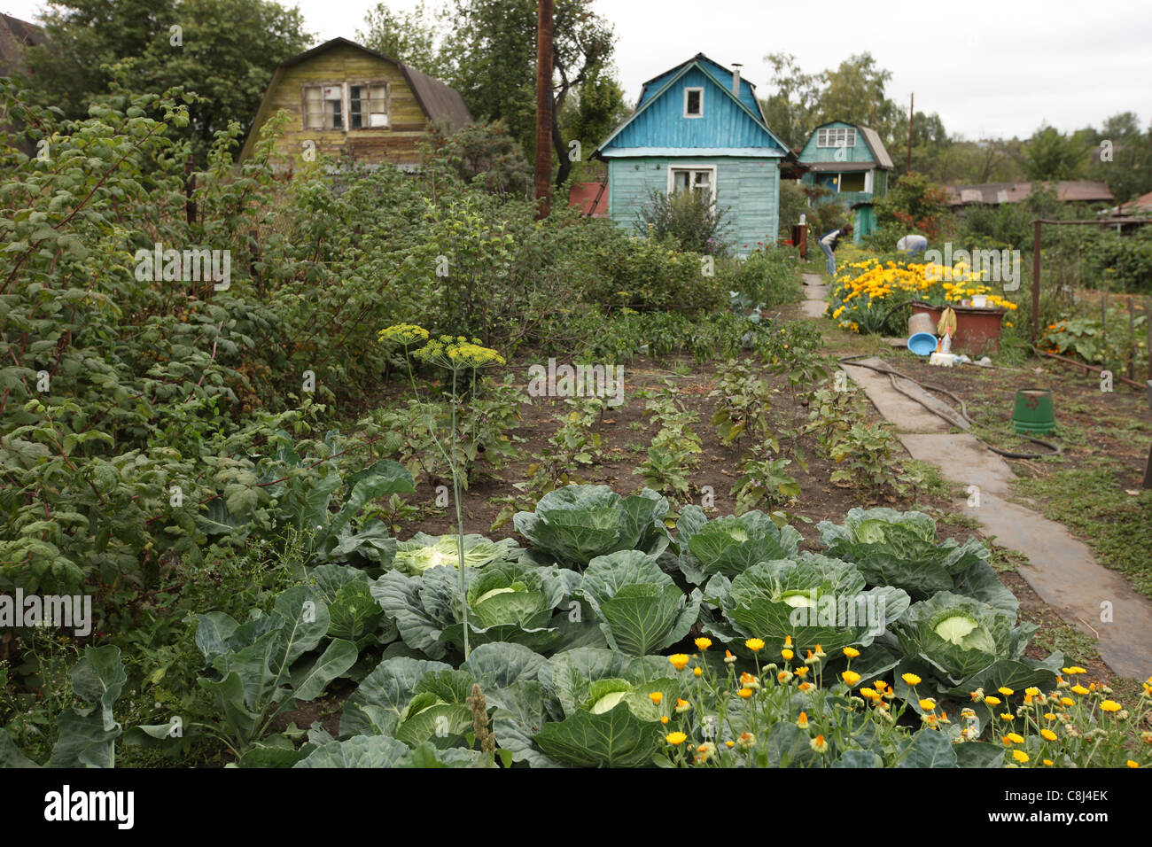 Vodka russia friends hi-res stock photography and images - Alamy